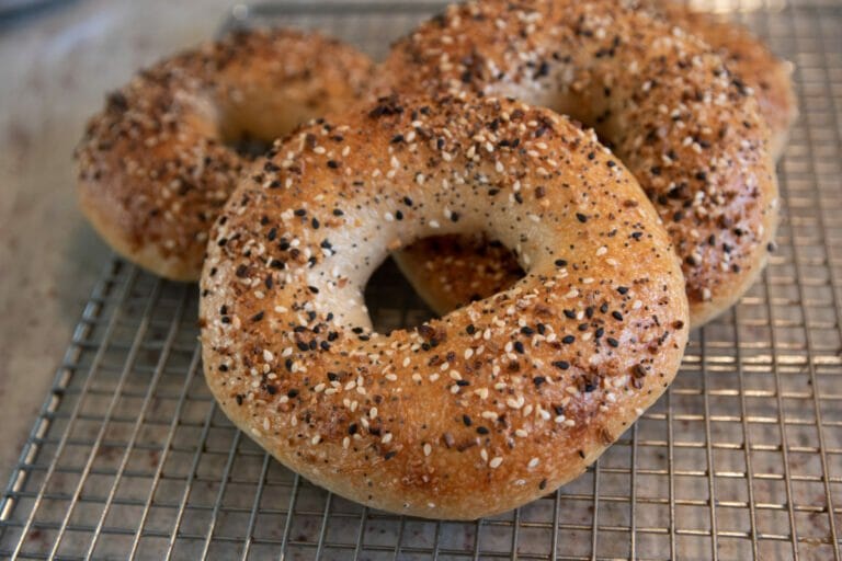 53+ Perfect Bagel Quotes and Bagel Instagram Captions - No Fuss Kitchen