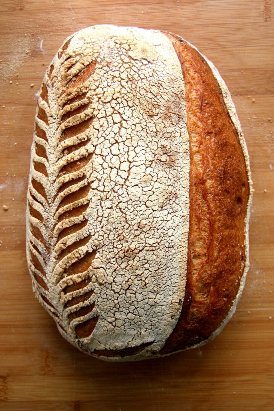 91 Perfect Bread Quotes And Bread Instagram Captions No Fuss Kitchen 91-perfect-bread-quotes-and-bread-instagram-captions-no-fuss-kitchen