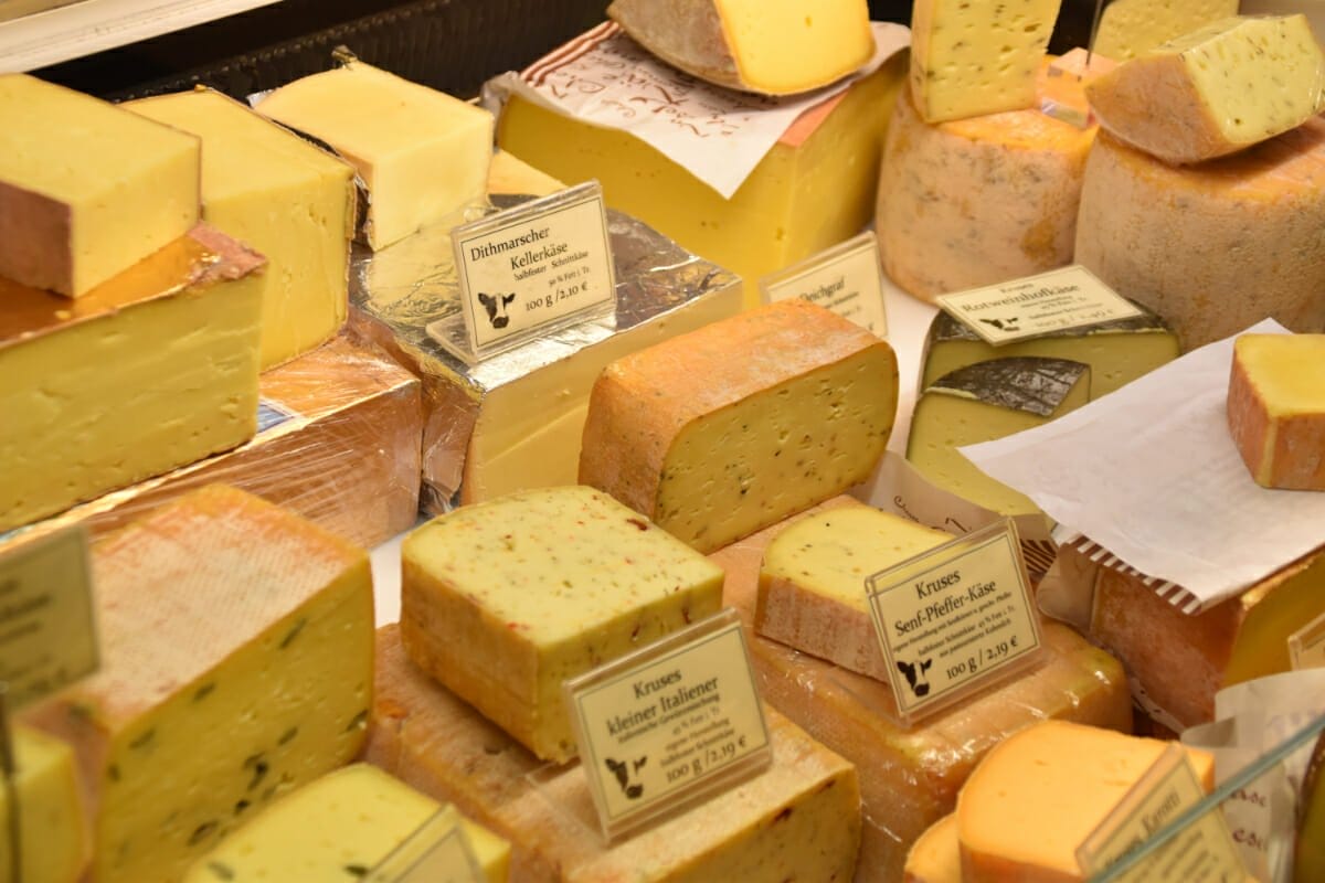 43+ Unique Cheese Quotes and Cheese Instagram Captions - No Fuss Kitchen
