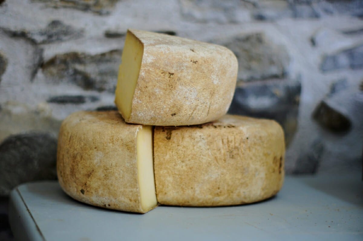 43+ Unique Cheese Quotes and Cheese Instagram Captions - No Fuss Kitchen