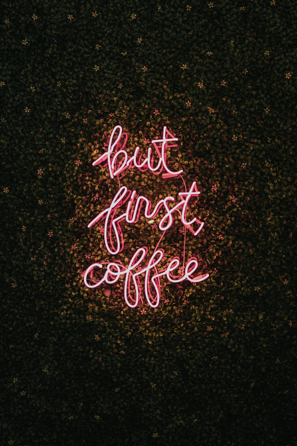 101+ Perfect Coffee Quotes and Coffee Instagram Captions - No Fuss Kitchen