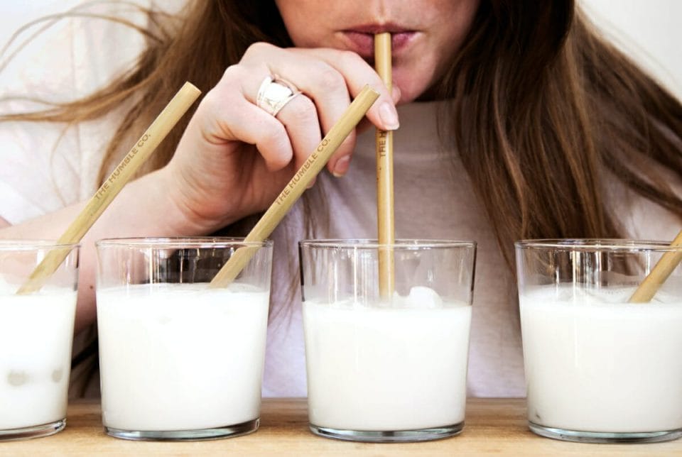 55+ Best Quotes about Milk and Milk Instagram Captions - No Fuss Kitchen