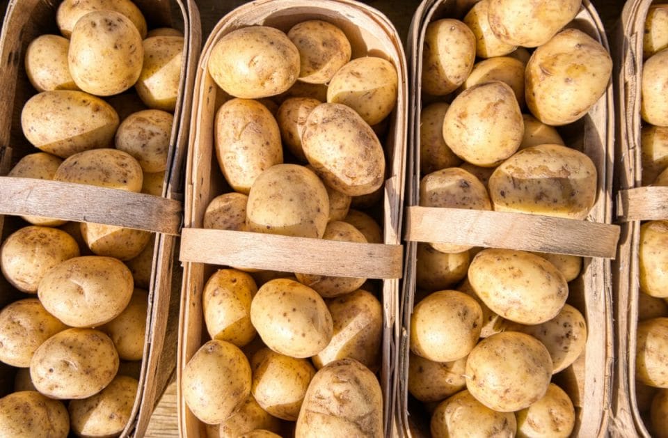 59+ Unique Potato Quotes and Potato Instagram Captions - No Fuss Kitchen