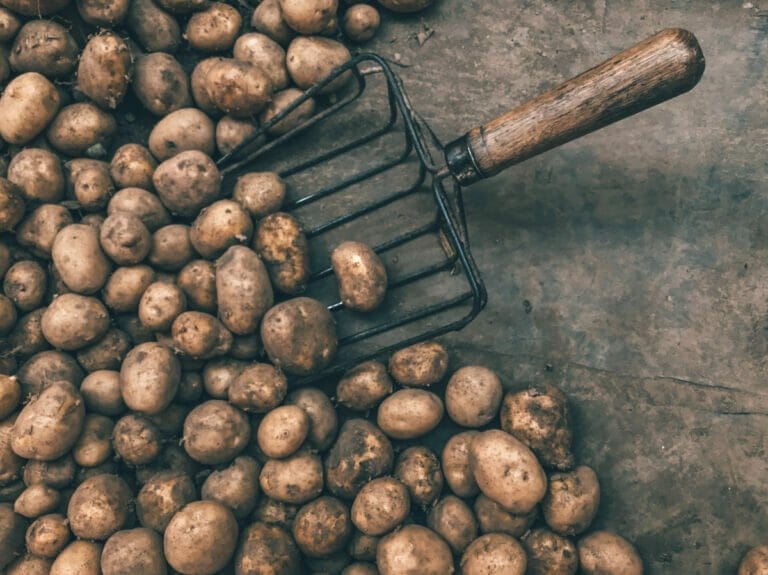 59+ Unique Potato Quotes and Potato Instagram Captions - No Fuss Kitchen