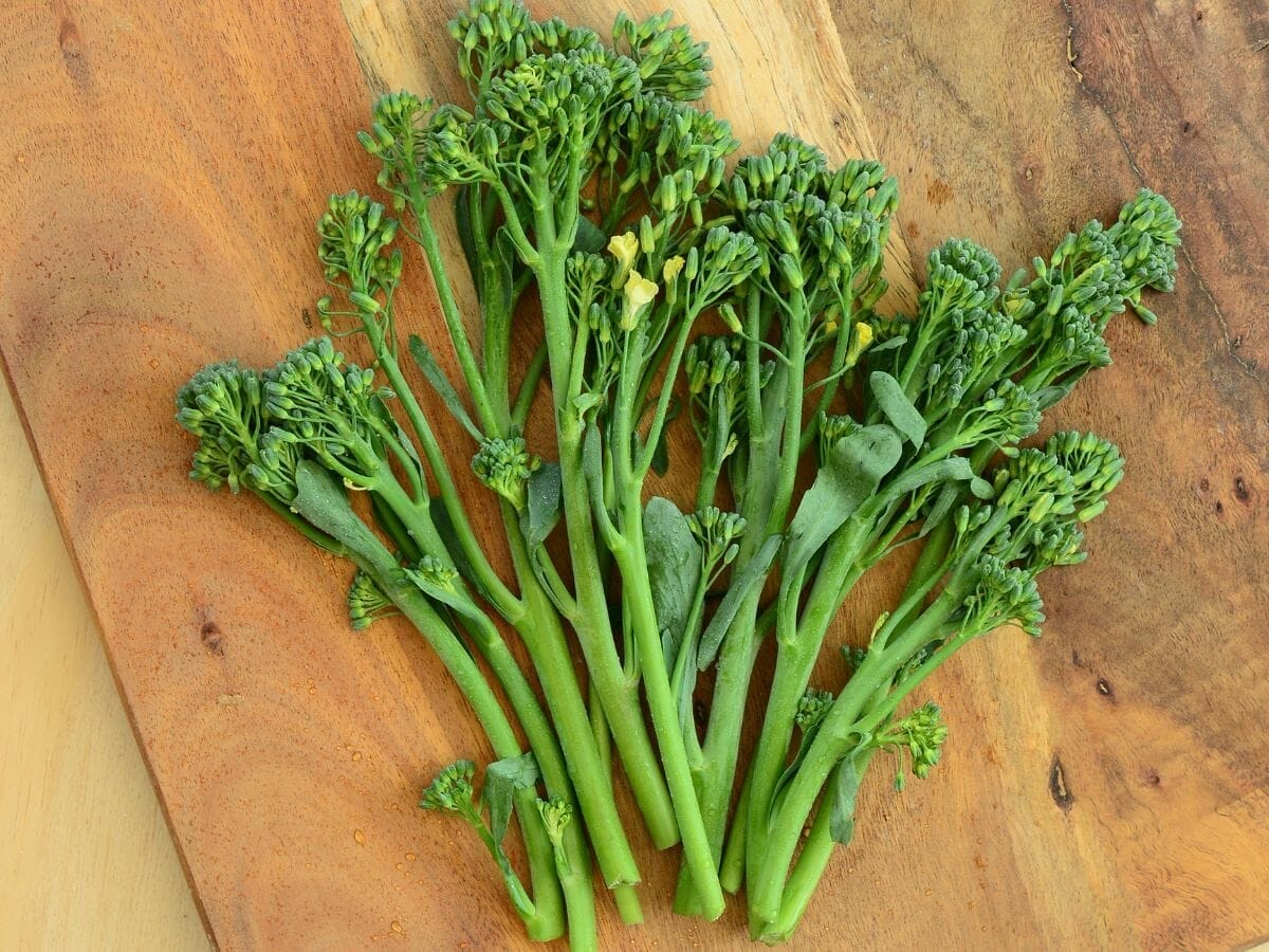 13 Best Substitutes for Broccoli to Save Your Meal - No Fuss Kitchen