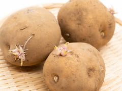 Exactly How to Scrub a Potato (and clean it) - No Fuss Kitchen