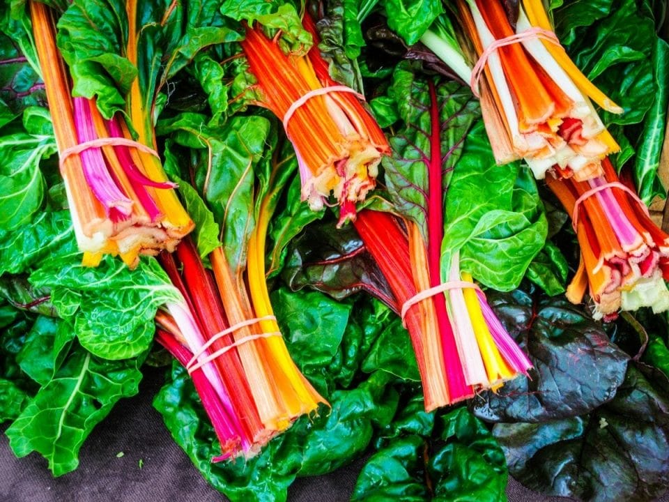 13 Best Substitutes for Broccoli to Save Your Meal - No Fuss Kitchen