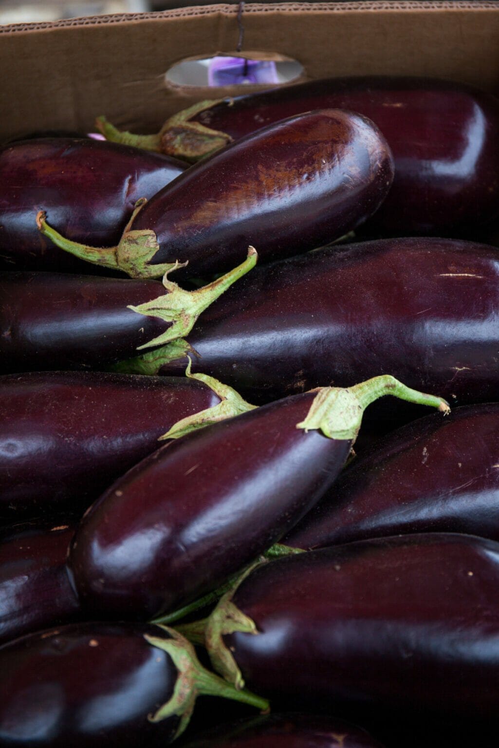 61 Awesome Foods that Start with A: the ultimate list! - No Fuss Kitchen