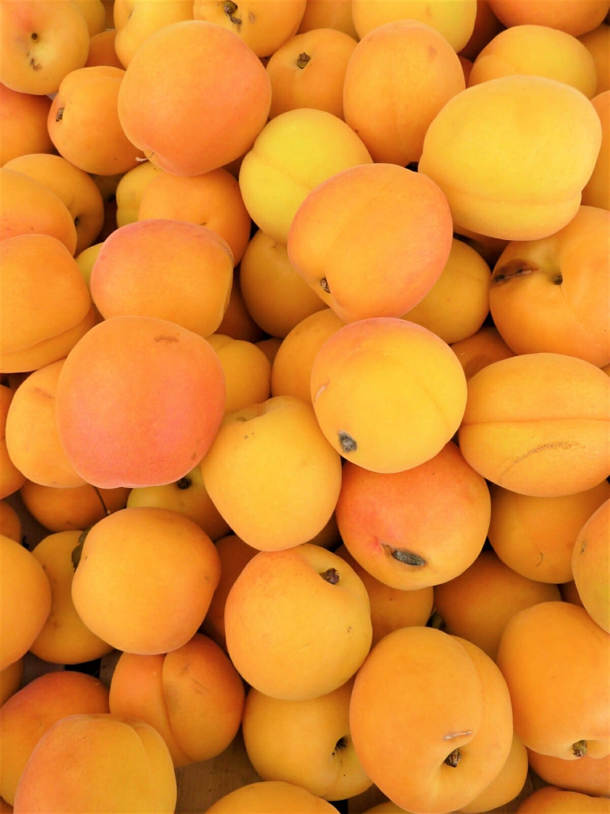 61 Awesome Foods that Start with A: the ultimate list! - No Fuss Kitchen