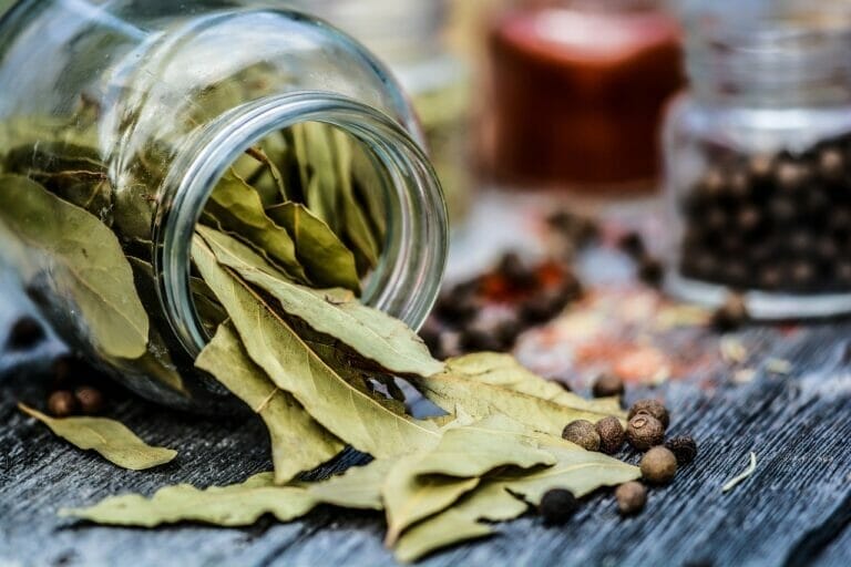 11 Best Bay Leaf Substitutes (surprising!) - No Fuss Kitchen
