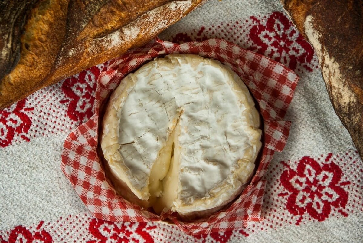 13 Best Substitutes for Brie (surprising!) - No Fuss Kitchen