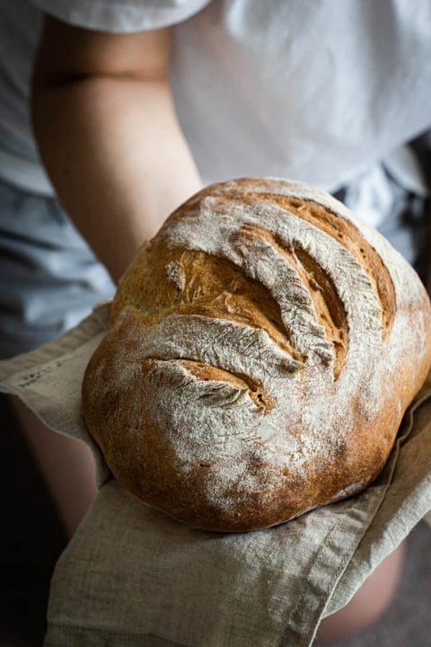83+ Foods that Start with H: the ultimate list - No Fuss Kitchen