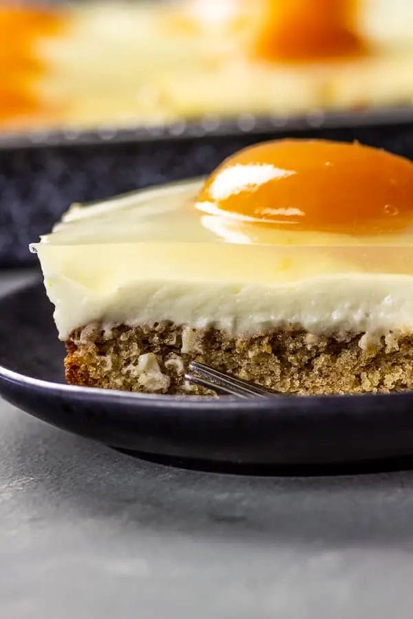 15 Delicious Apricot Desserts that You'll Totally Love - No Fuss Kitchen